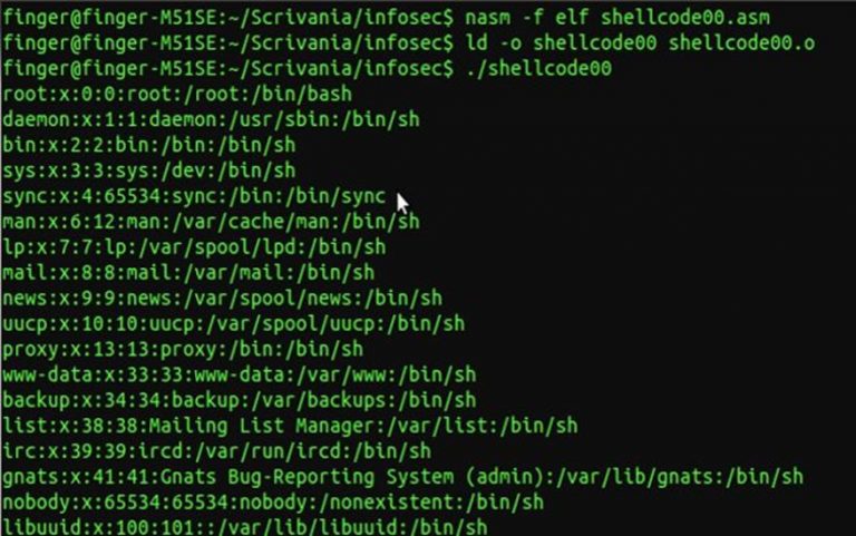 TRAINING SHELLCODE DEVELOPMENT